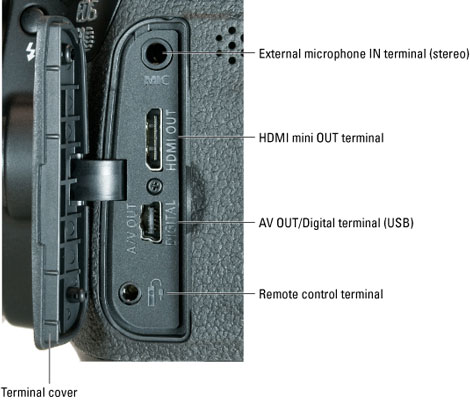 firewire cable for camera - Apple Community