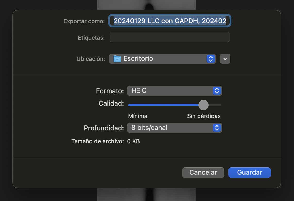 Preview is not exporting to any format - Apple Community