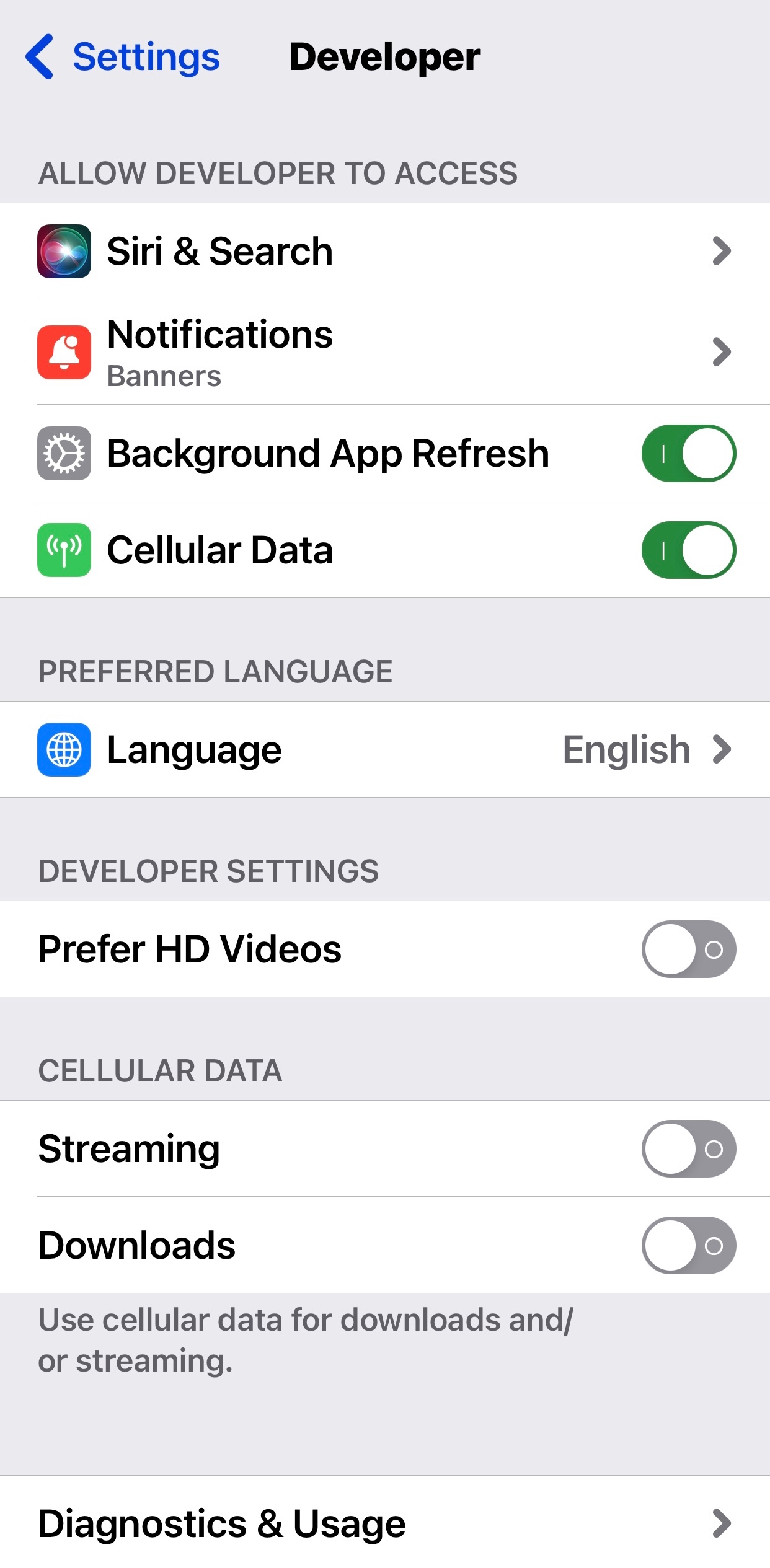 How do I access developer setting on my i… - Apple Community