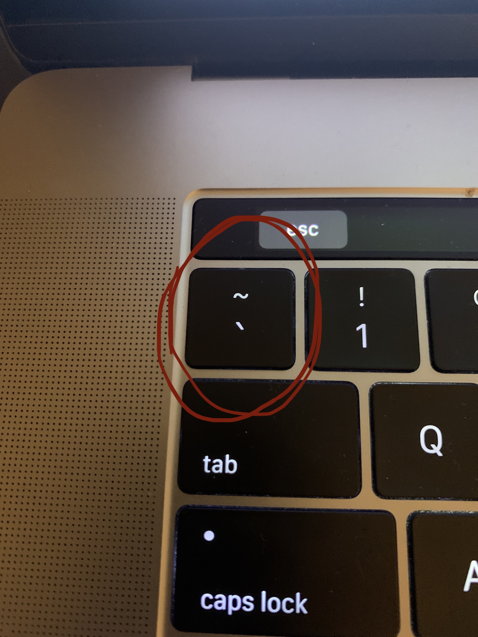 Can I customize ipad sidebar buttons? - Apple Community