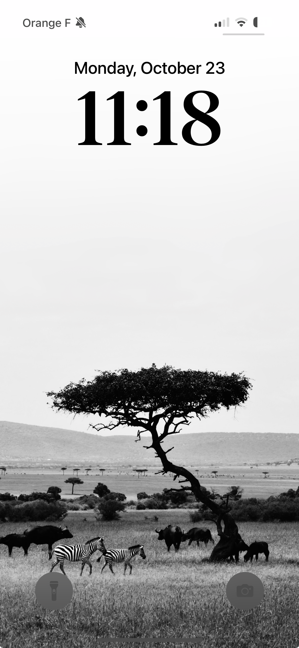 iOS 17: Wrong status bar color/contrast. … - Apple Community