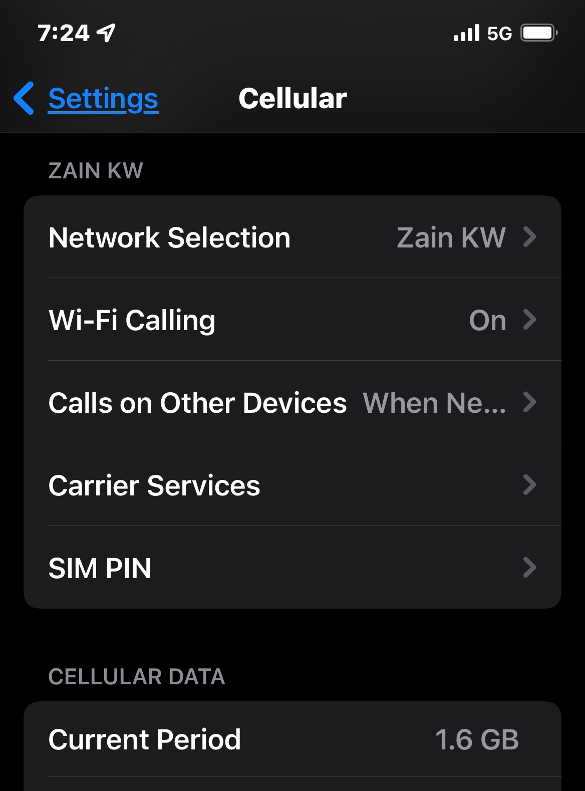 Missing “Add Cellular Plan Option” on my … - Apple Community