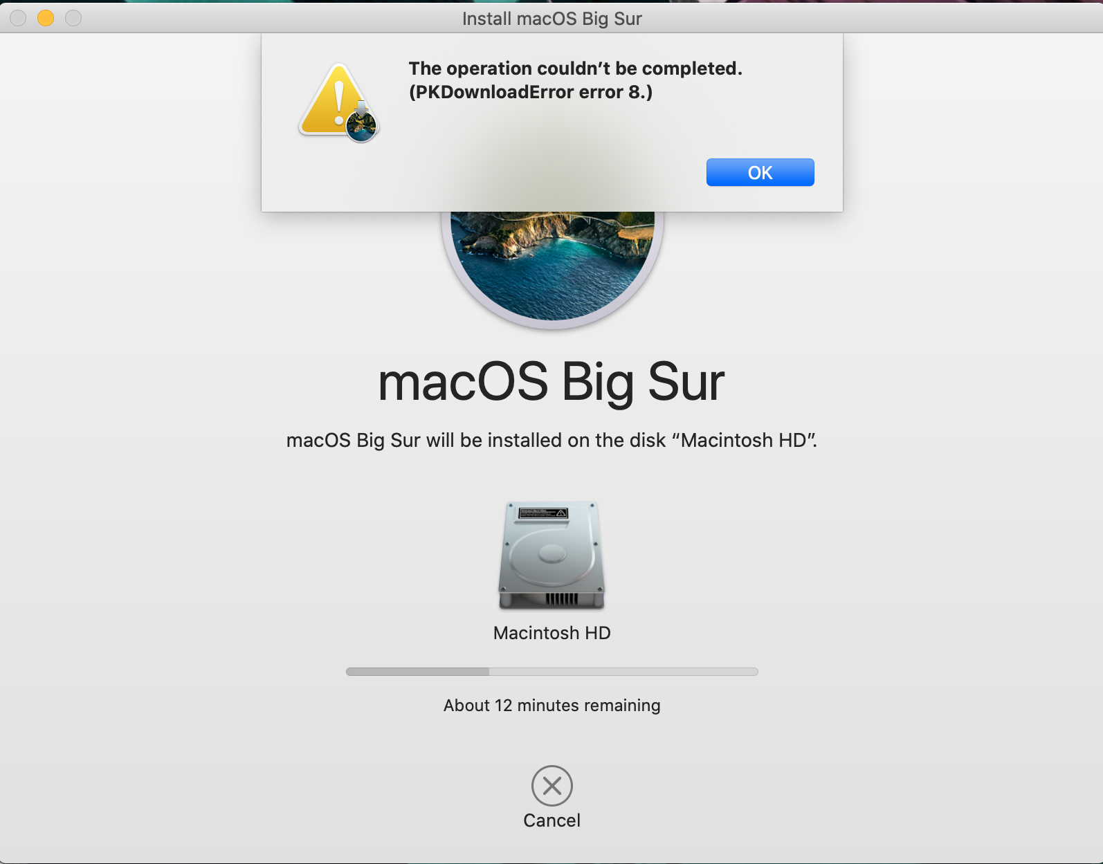 Install Macos Big Sur | atelier-yuwa.ciao.jp