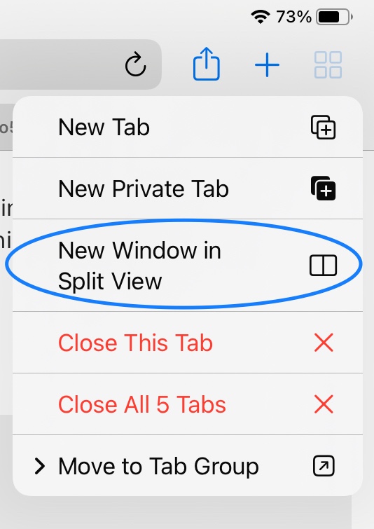 "Look Up" context menu feature - Apple Community
