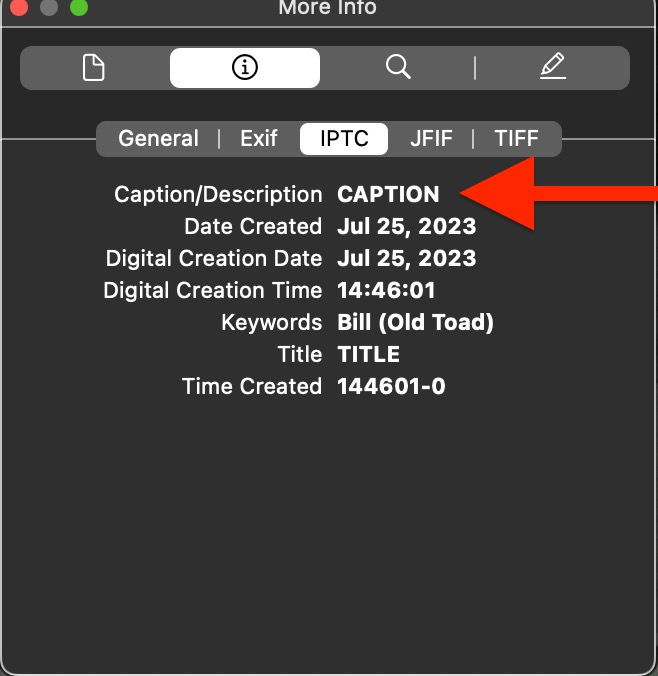 Metadata captions not exporting with phot… - Apple Community