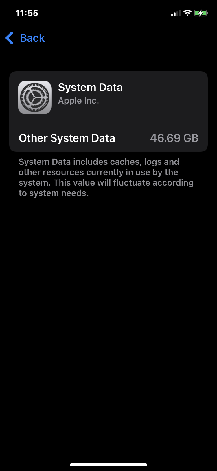 How to decrease the System Data storage a… - Apple Community