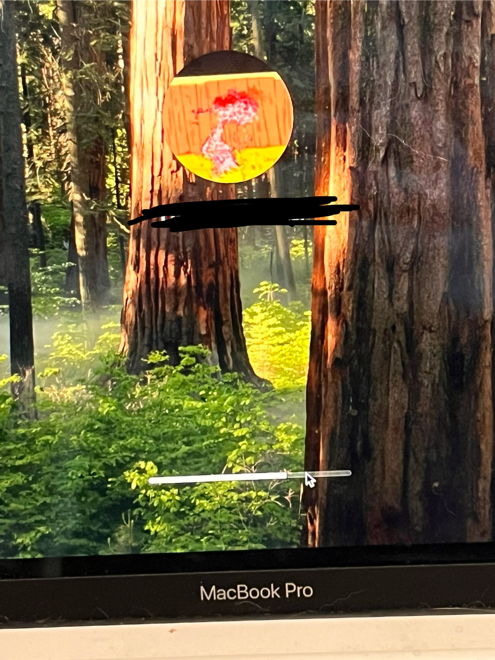 Loading issue after installing MacOS Sequ… - Apple Community