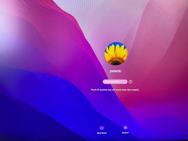 Unable to log into MacBook Pro after upda… - Apple Community