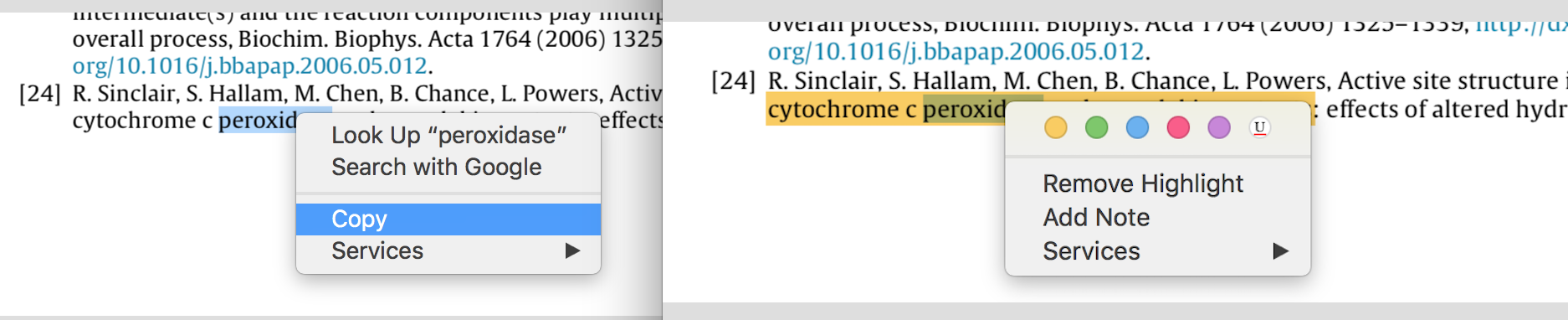 Unable to copy highlighted text from Prev… - Apple Community