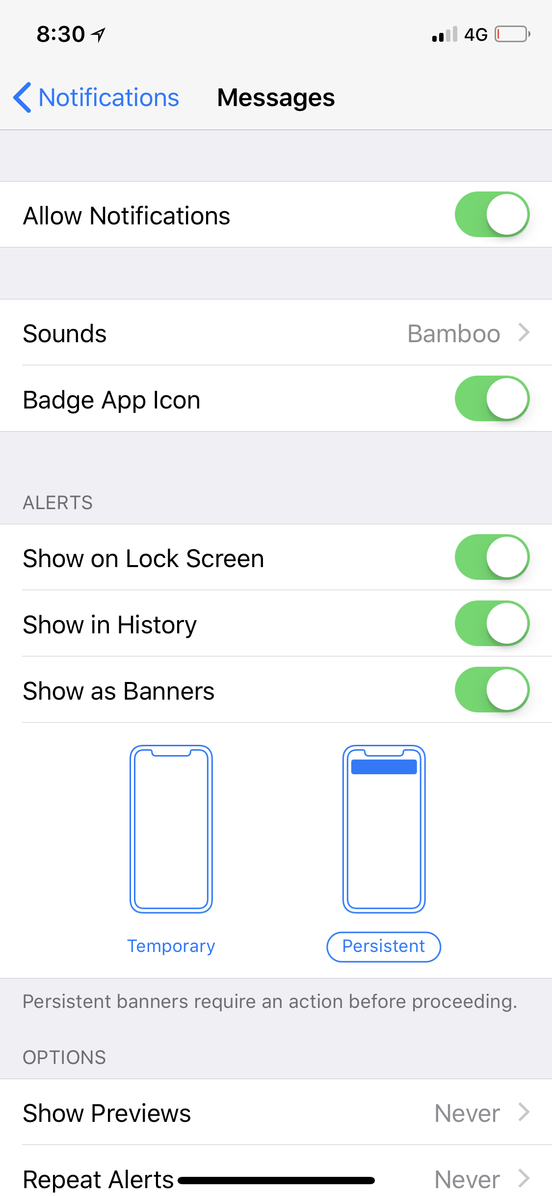 Text message notifications not showing on… - Apple Community
