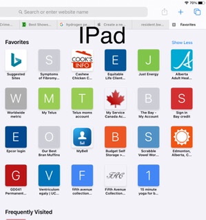 Favicons not showing on IPhone 12 Pro - Apple Community