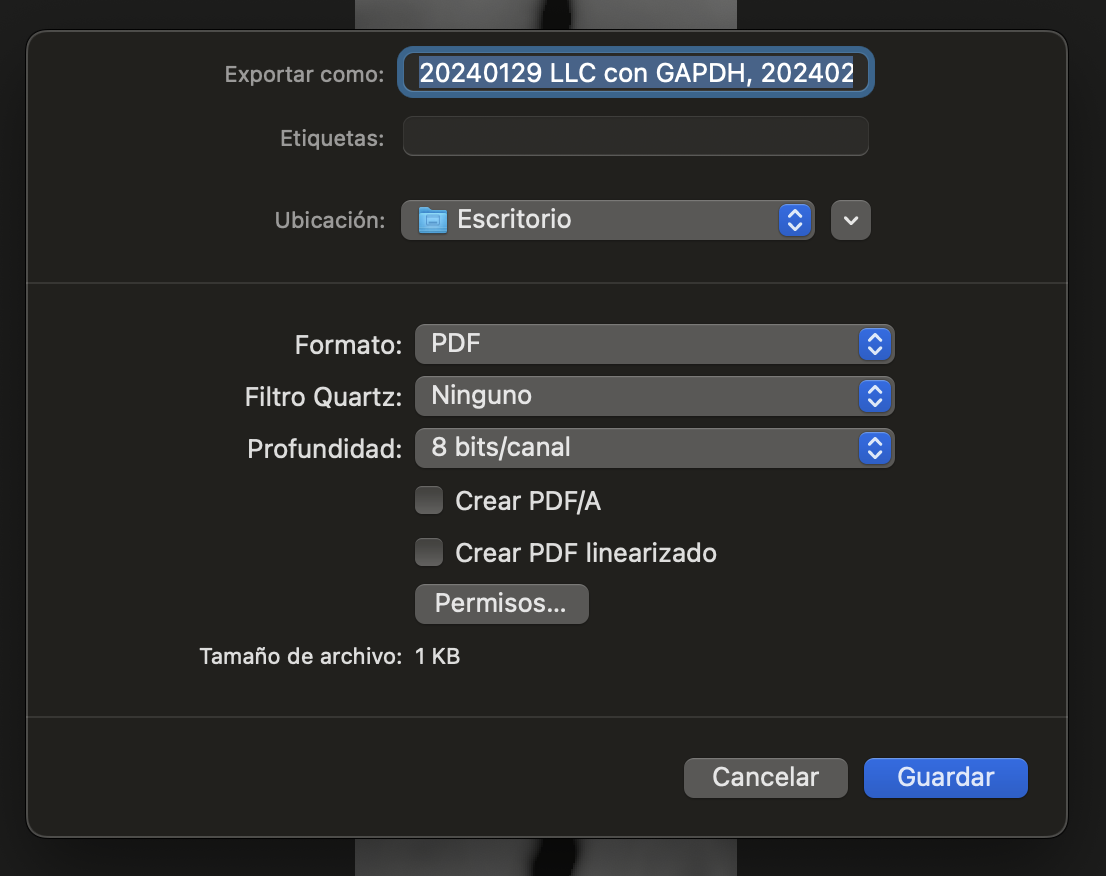 Preview is not exporting to any format - Apple Community