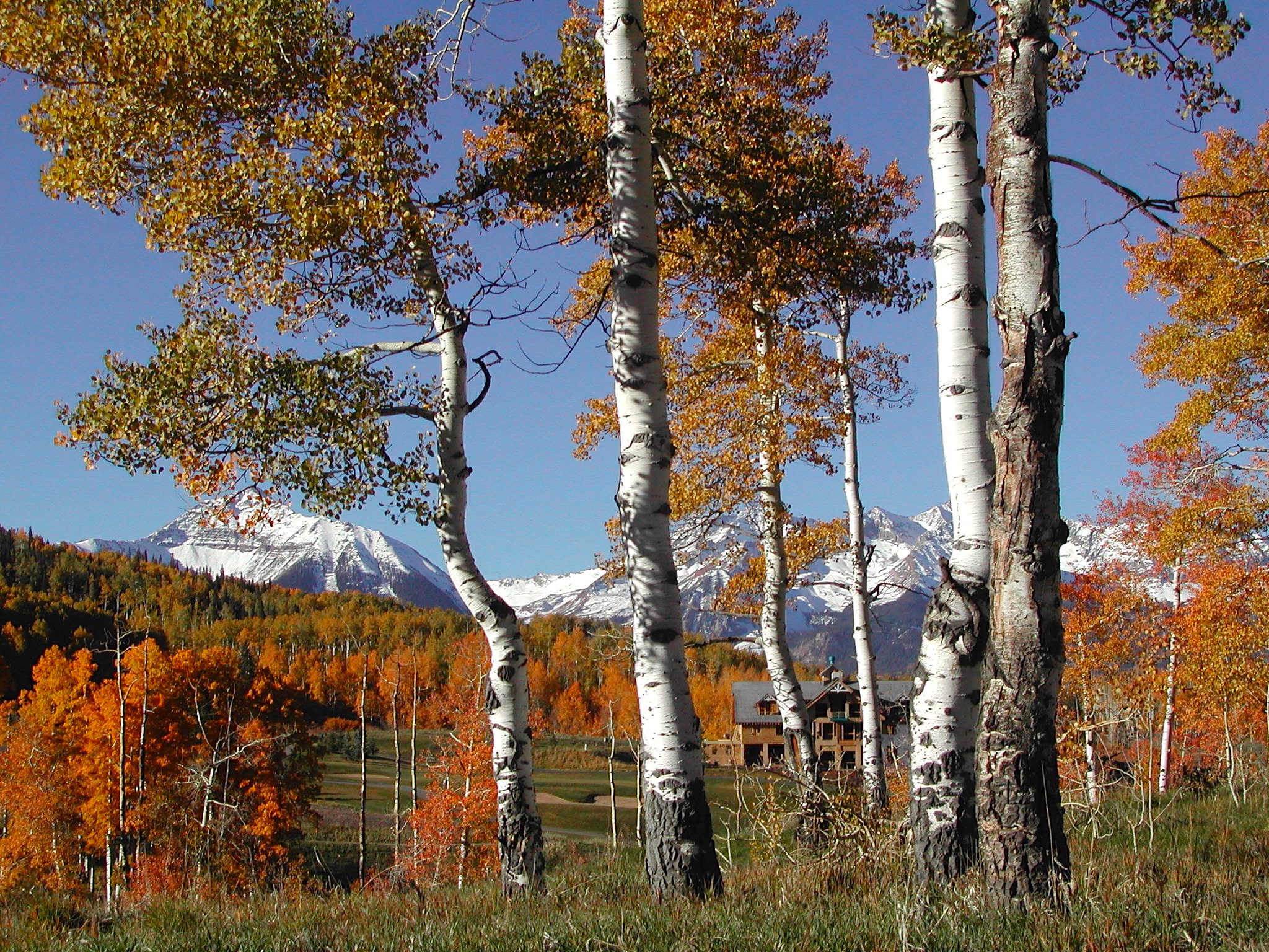 My Favorites Icons have been greyed out. … - Apple Community