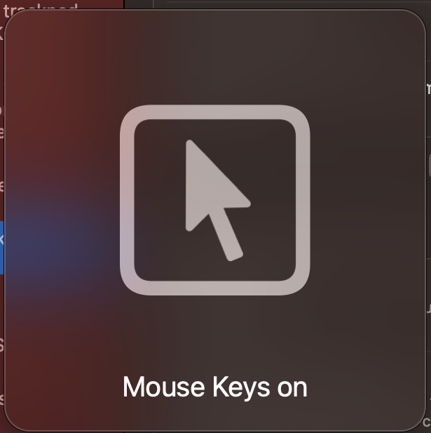 Auto activation of Mouse key when startin… - Apple Community