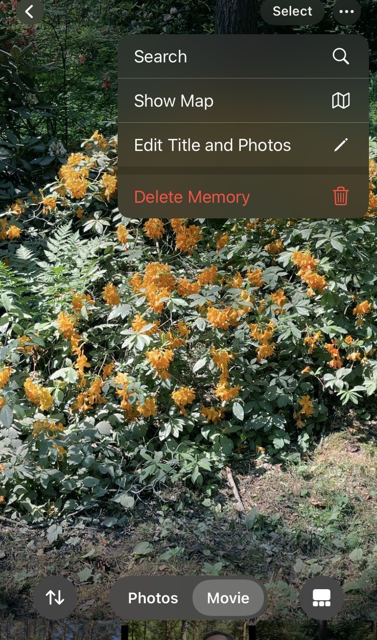 Can't share iPhone Photo memories any more - Apple Community