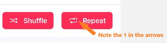 any body hit shuffle and the same song pl… - Apple Community