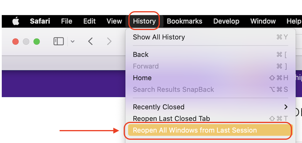Safari on Macbook Pro - Apple Community